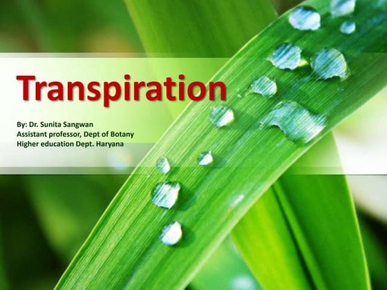 Transpiration | PPT