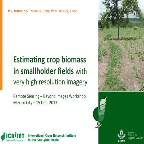 Estimating crop biomass in smallholder fields with very high resolution ...