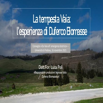 La tempesta Vaia: l’esperienza di Duferco Biomasse | PDF