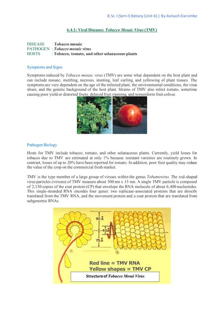 Tobacco Mosaic Virus (TMV) | PPT