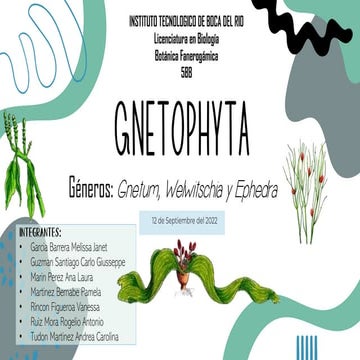 6.Gnetophyta.pptx