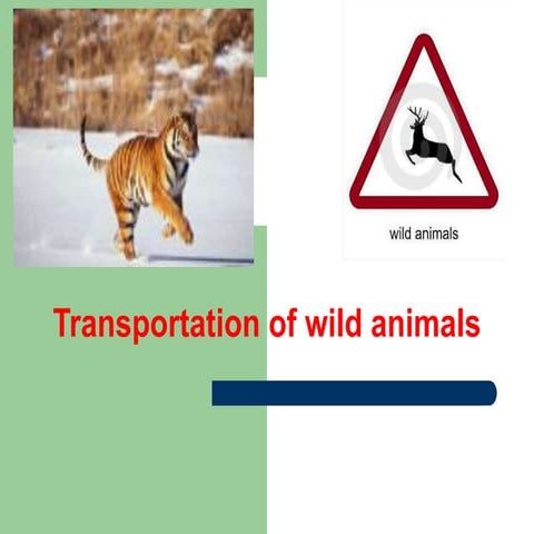 6. Transportation of wild animals.ppt