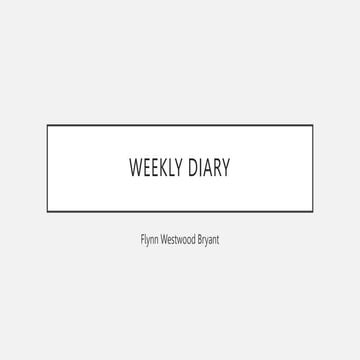 6.production diary.pptx