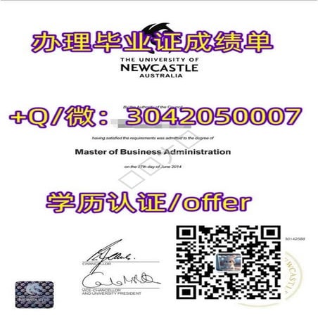 6纽卡斯尔大学.pdf