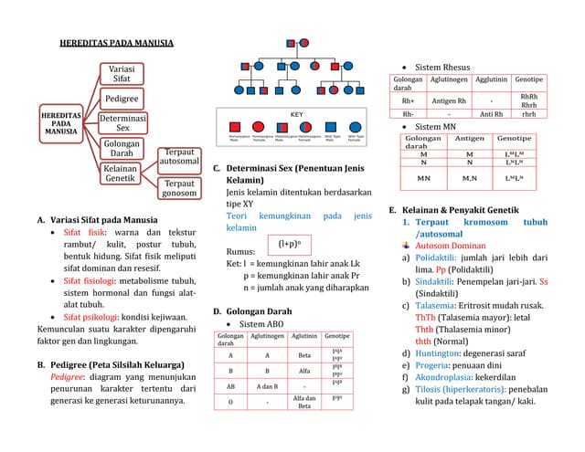 Gen Terpaut Seks dan Pewarisan Autosom | PPTX