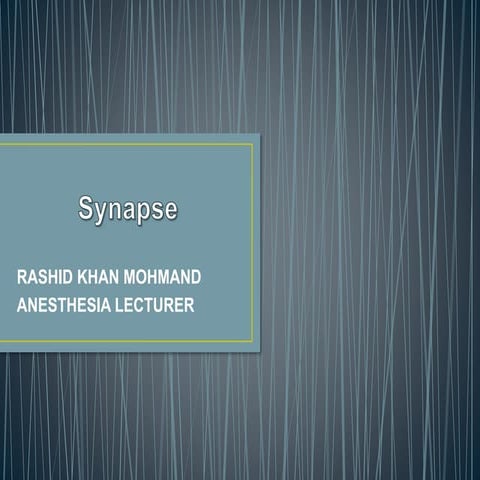 Synapse , physiology of synapses in very easy way | PPTX