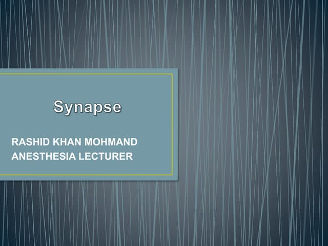Synapses | PPTX