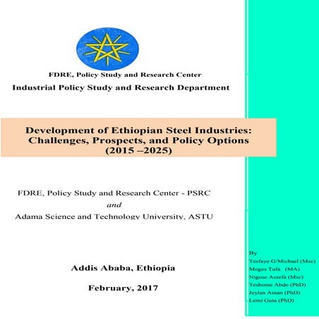 6. Steel industry Policy Option - final.pdf