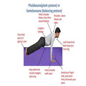 arm balance asana - Comprehensive understanding of arm balancing asana ...