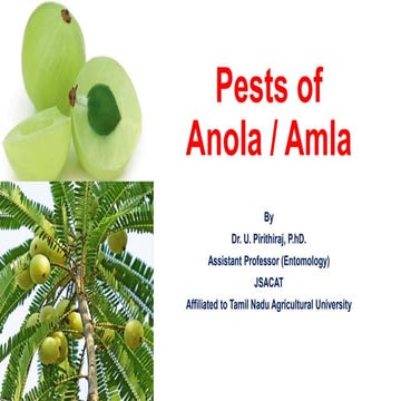 Pests of Anola_Identification_IPM_Dr.UPR.pdf