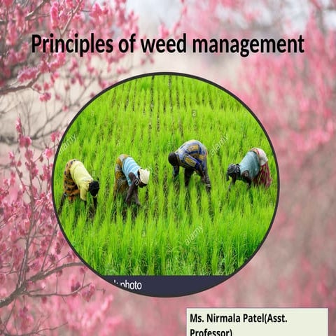 6. Principles of Weed Management new (1).pptx