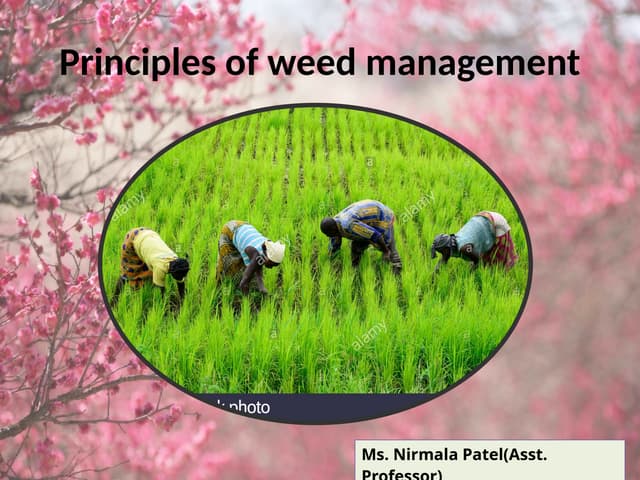 Methods of weed control | DOCX