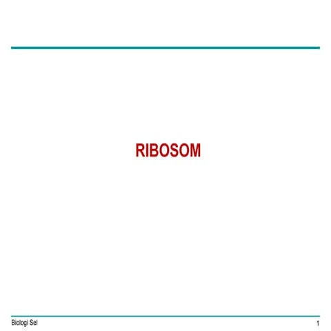6. Biosel Ribosom, menjelaskan tentang fingsi dan karakteristik ribosom ...