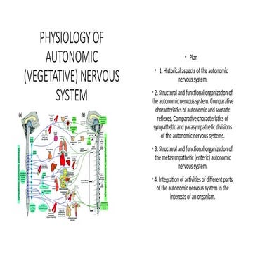 6. PHYSIOLOGY OF AUTONOMIC (VEGETATIVE) NERVOUS SYSTEM.pptx