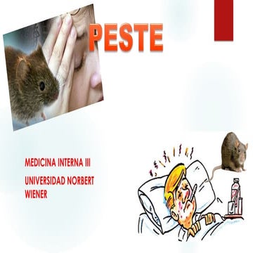 Peste Bubonica. UNIVERSIDAD DE GUAYAQUIL | PDF
