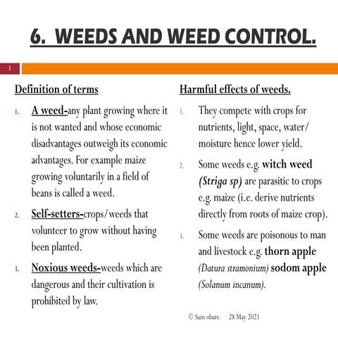 Practice weeding and cultivation | PPTX