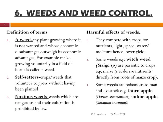 Practice weeding and cultivation | PPTX | Agriculture | Industries