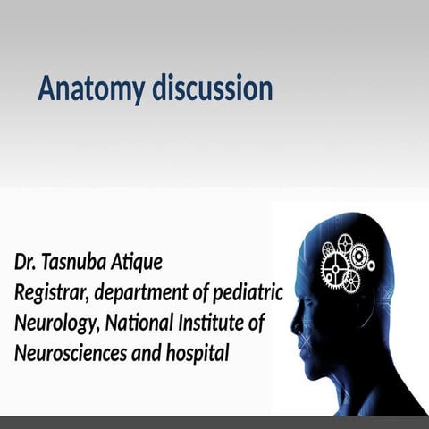 neuroanatomy of brainstem: pons, medulla and midbrain | PPTX