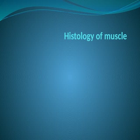 6.HISTOLOGY OF MUSCLE in details ppt.pptx