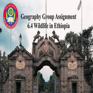 ECG.pptx information about ecg graph by dr | PPTX