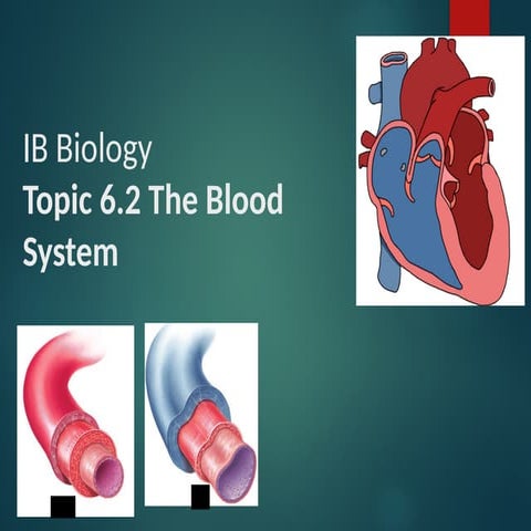 Comprehensive Overview of the Adaptive Immune System and Infectious ...