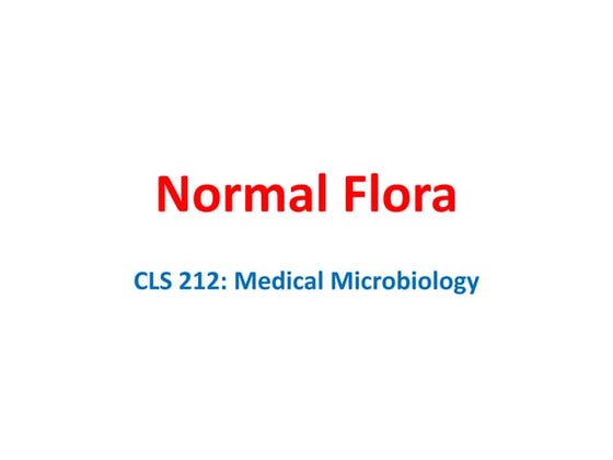 Normal flora | PPT
