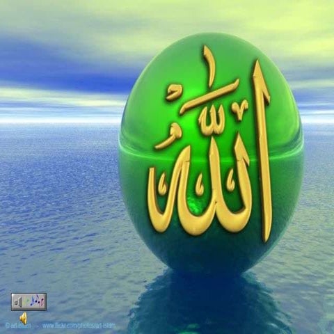 Allah Allah | PPS