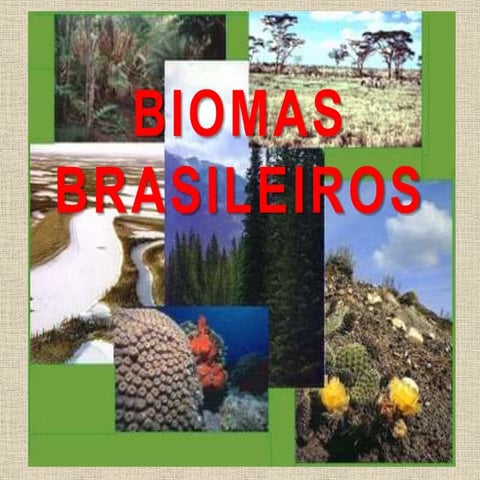 6-anos-biomas-brasileiros ciências/ Biologia | PPT | Download Gratuito