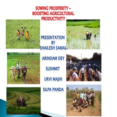 Potential role of small & marginal farmers in food security | DOC