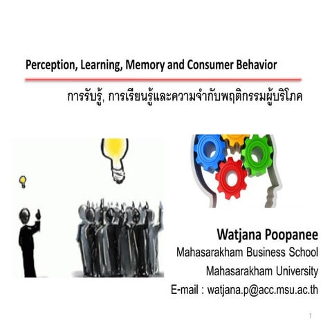 Perception,learning,memory (Ch.6), Consumer Behavior Class | PDF