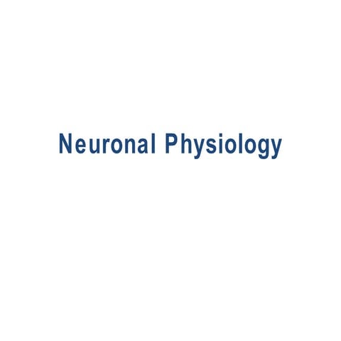 6. cns 2 | PPT