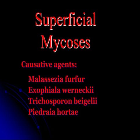 6 cutaneus myco | PPT