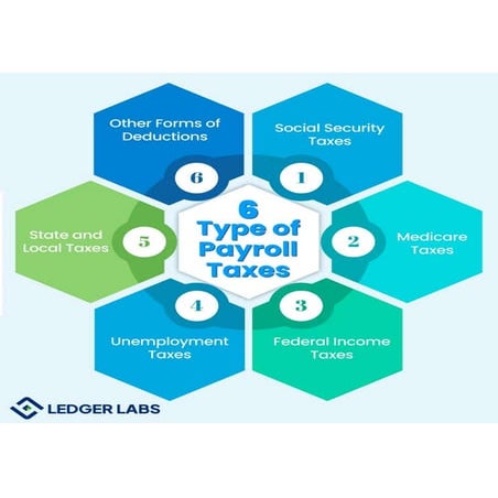6 different types of payroll taxes -Ledger Labs | PDF