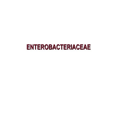 6. enterobacteriaceae | PPT