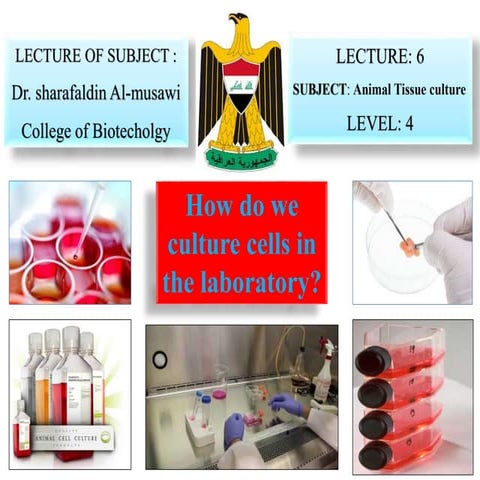 6 how do we culture cells in the laboratory lecture 6 | PPTX