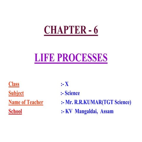 6 Life Processespdf 
