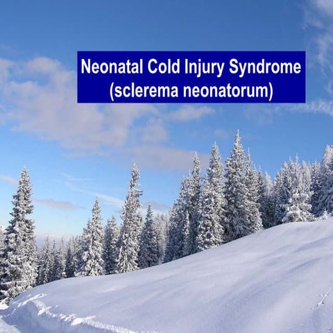 Neonatal Cold Injury Syndrome | PPT