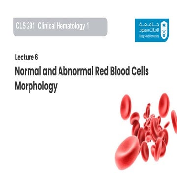 6 - Normal and Abnormal Red Blood Cells Morphology .pdf