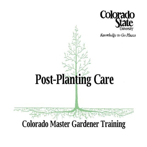 6 Post Planting Care | PPT