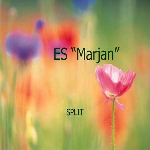 Pupils cooperative “Telegrin“ | PPT