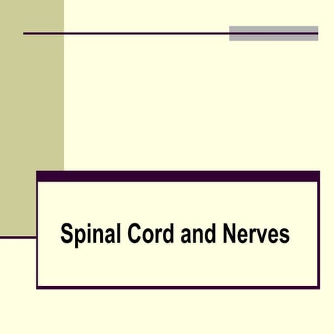 02 Lecture ..General Anatomy-of-the-Nervous-System(General anatomy of ...