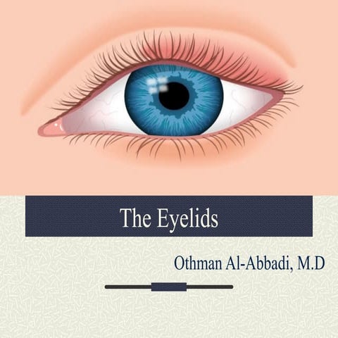 Eyelids | PPT