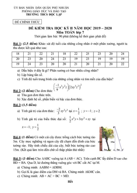 Đề Thi HK2 Toán 8 - TH - THCS - THPT Ngô Thời Nhiệm | PDF