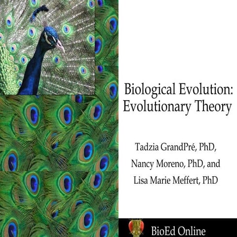 Biological Evolution : Evolutionary Theory.ppt