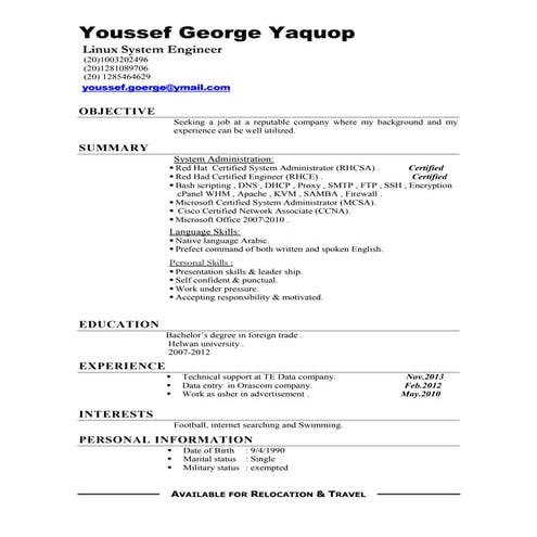 Youssef George | PDF | Computing | Technology & Computing