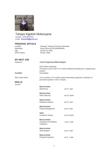 CV Form (Yamin Aye) | PDF