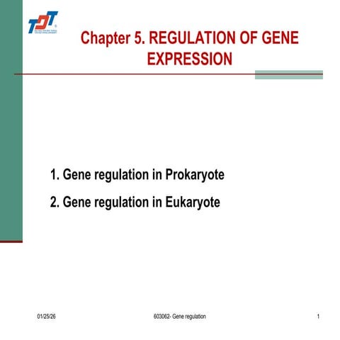 Regulation of Gene Expression | PPTX