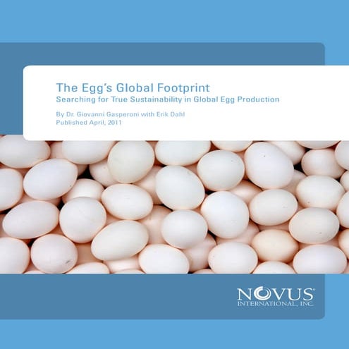 The Egg's Global Footprint: Searching for True Sustainability in Global ...