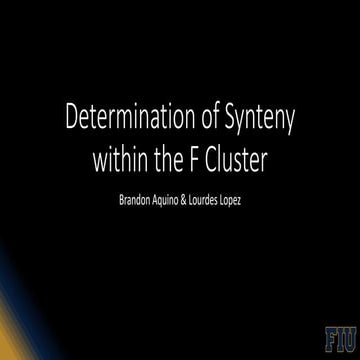 F Cluster Synteny Presentation | PPT