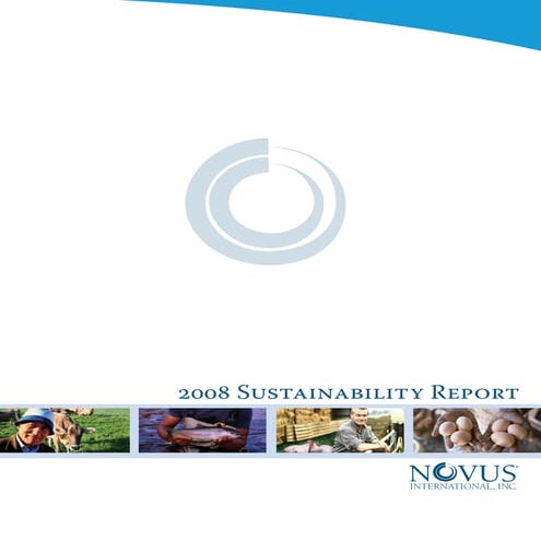 2008 Novus Sustainability Report Pdf